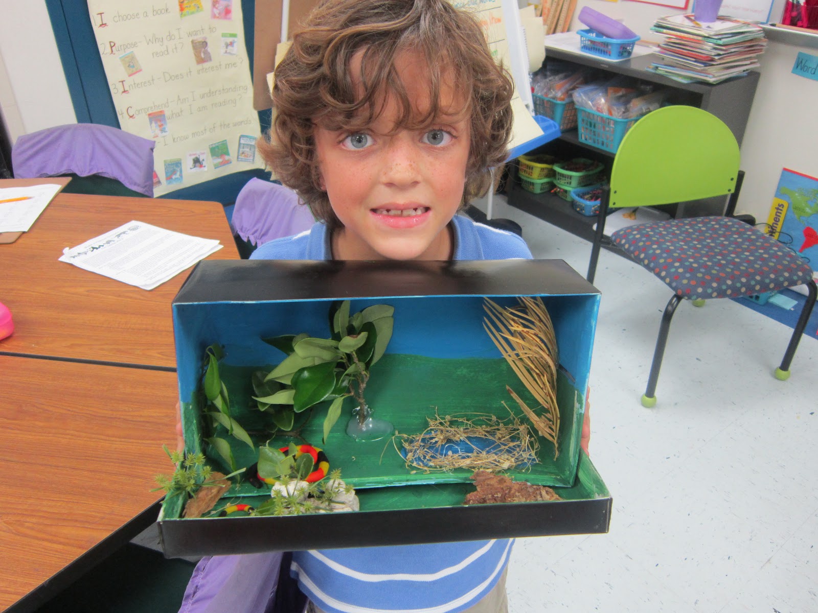 Mrs. Pacciano's Post: Look at these Habitat Dioramas