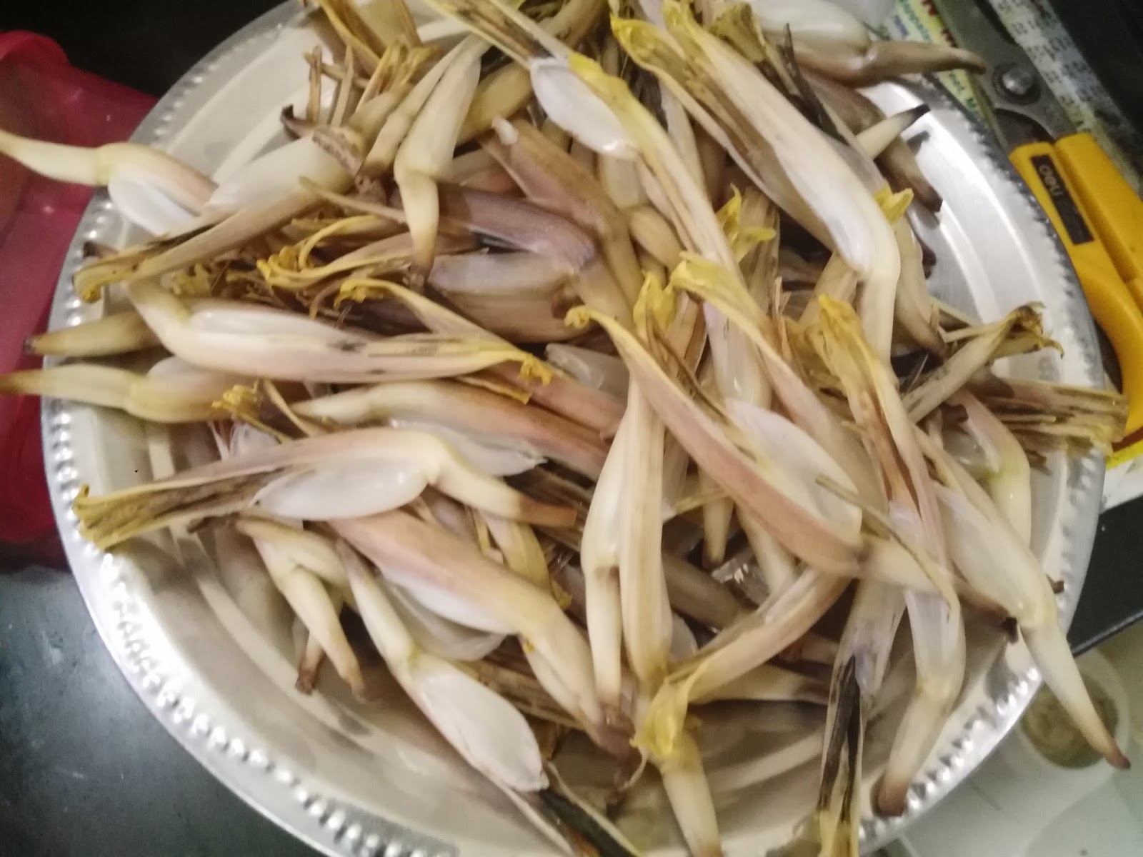 Procedure here we go