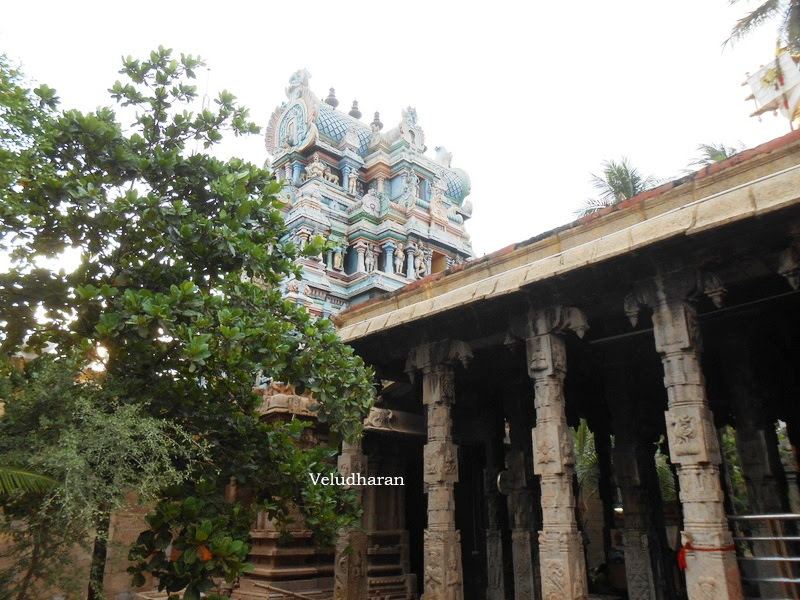 A Wandering Heritager: ARULMIGU KALAMEGAPERUMAL TEMPLE, THIRUMOHUR ...