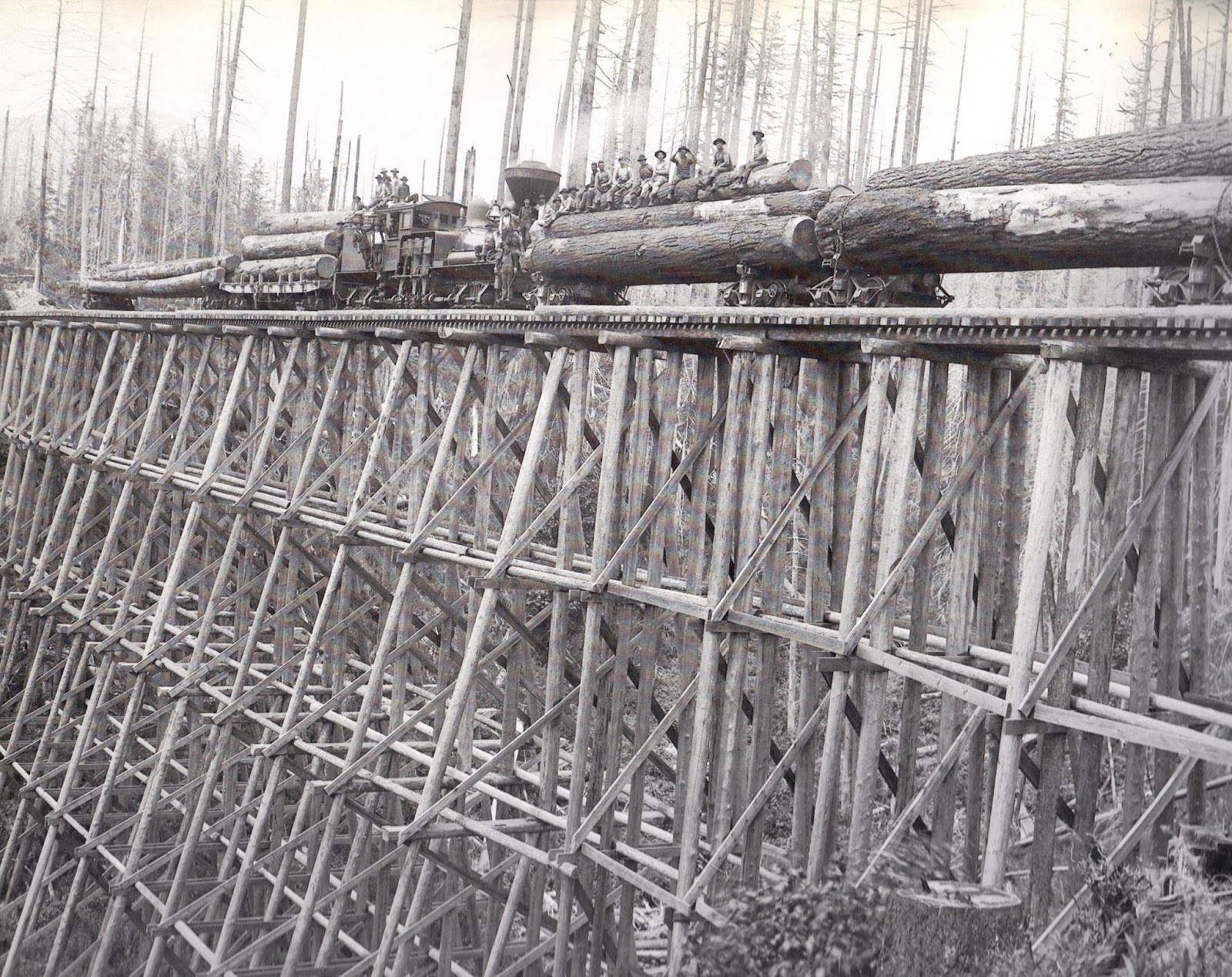 Progress is fine, but it's gone on for too long.: Logging in Washington ...