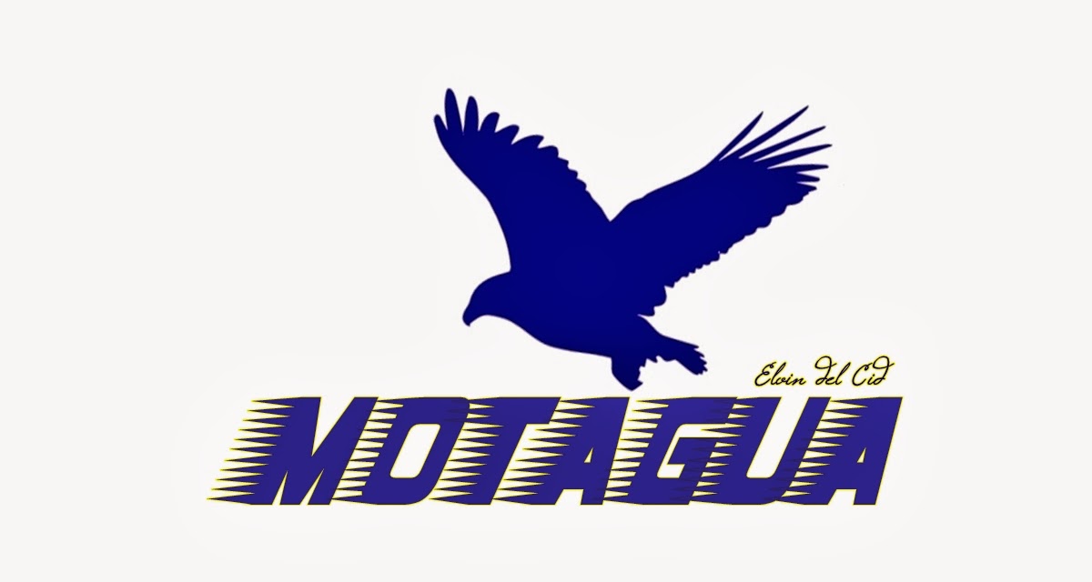 C.D MOTAGUA : Wallpapers Motagua Imagenes