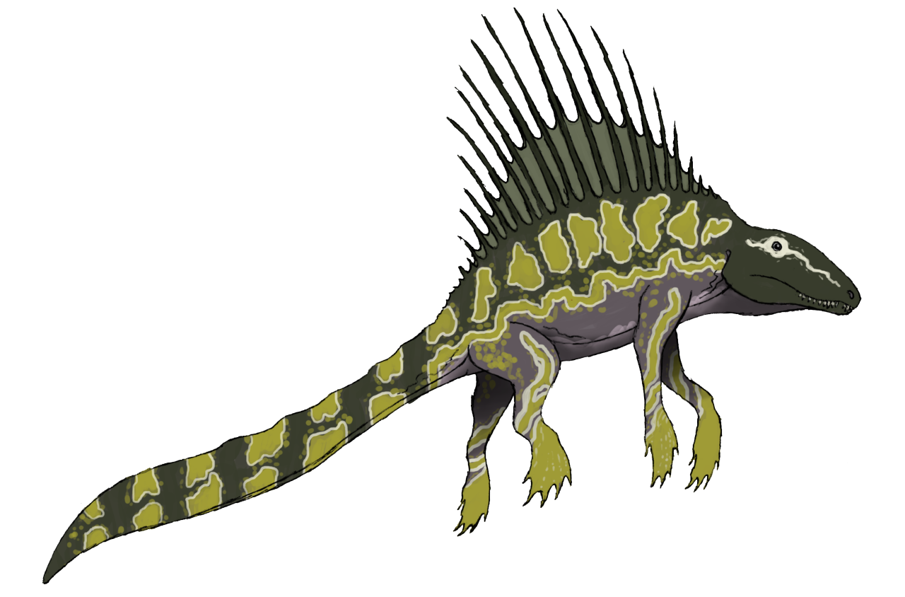 The Expeditioner's Discovery Guild: A little bit of Everything: Paleo ...