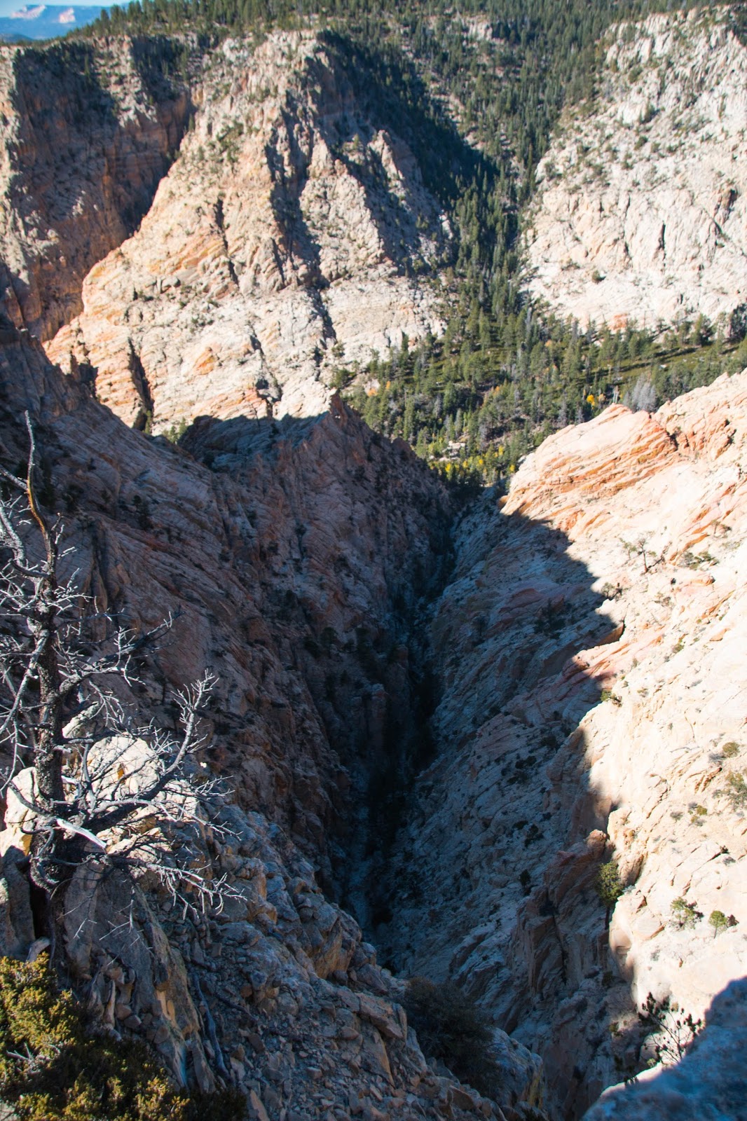 Kastle's Journey: Hell’s Backbone Road Scenic Backway