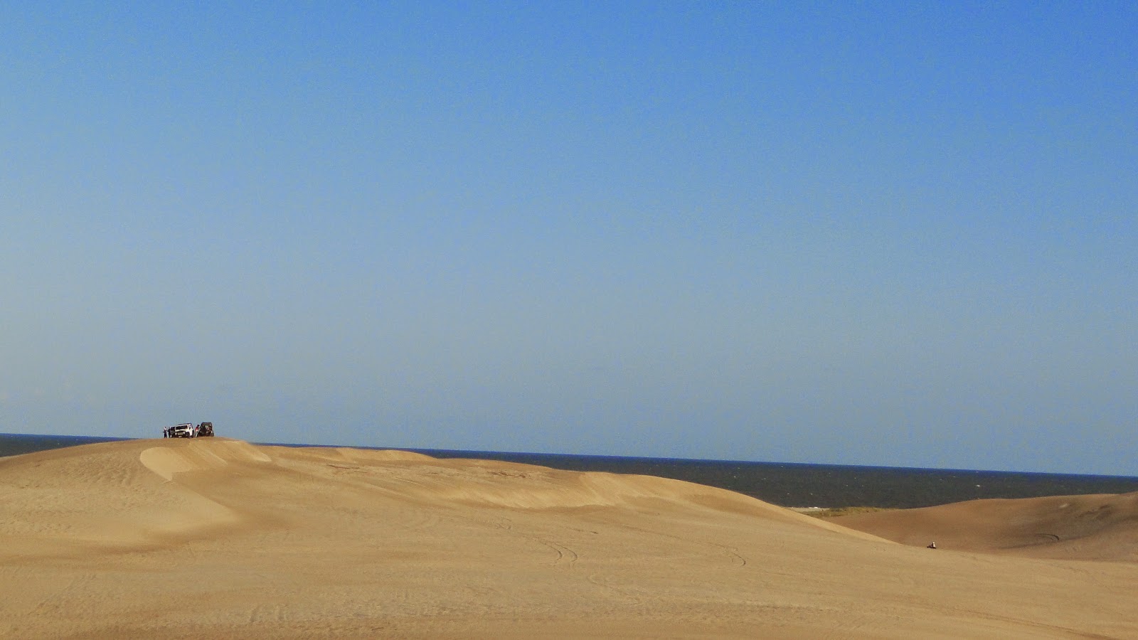 VIDA VIAJERA: El dominio de los médanos