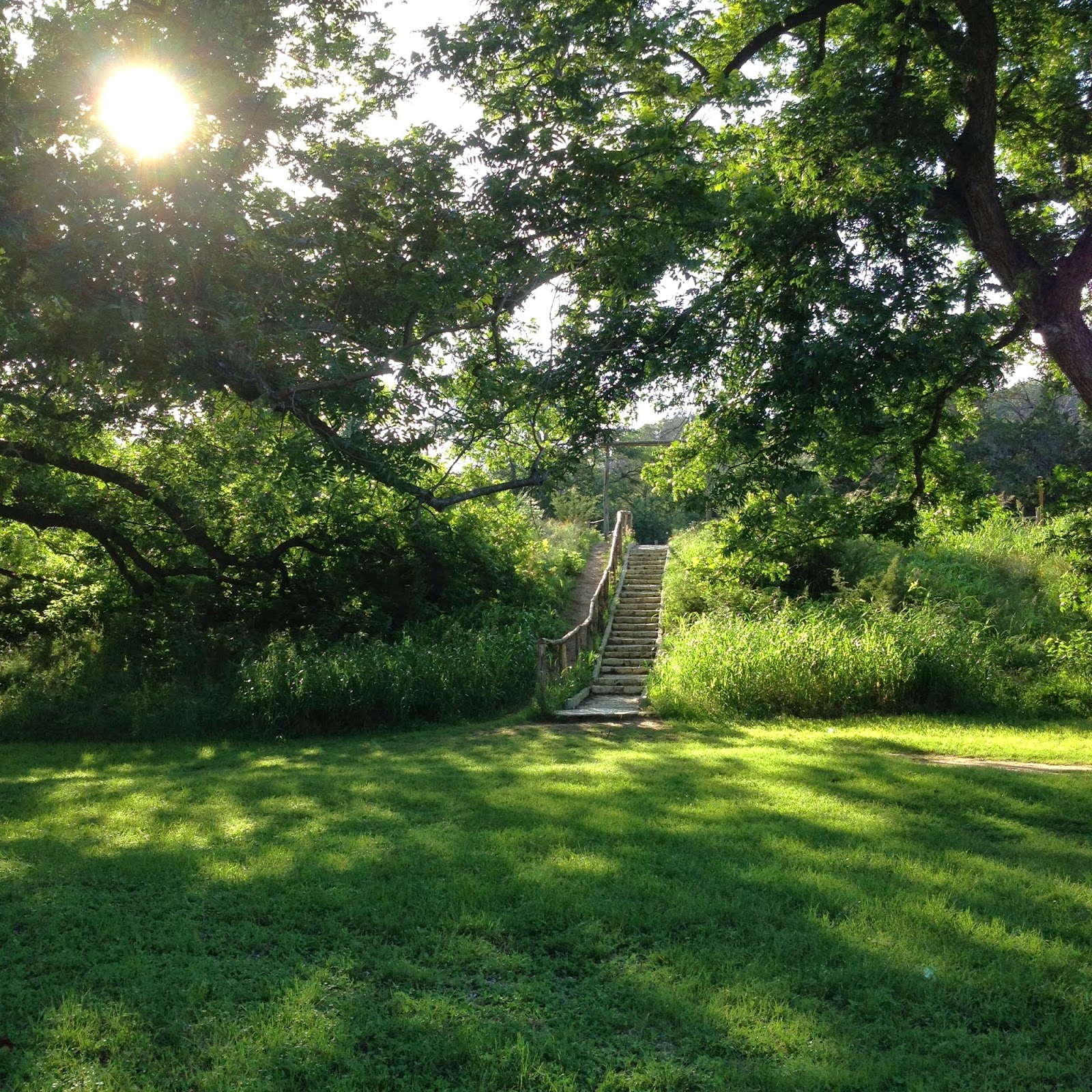 Somewhere In The Middle of Texas: Texas Rainforest