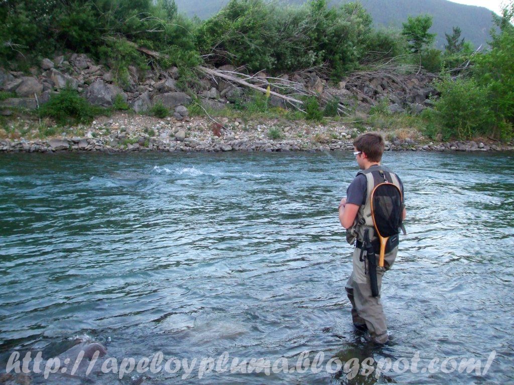 A pelo y pluma-- Flyfishing blog: septiembre 2012