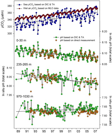 Charismatic Microfauna: How do we measure ocean acidification?