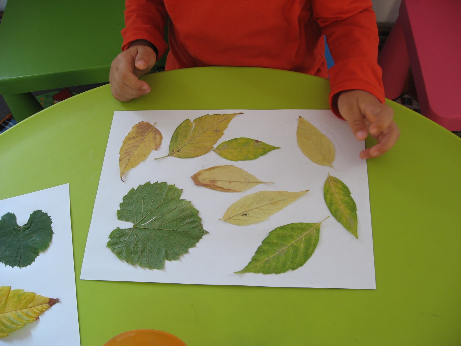 .printre nori: Tablou cu frunze - activitati copii 2-3 ani