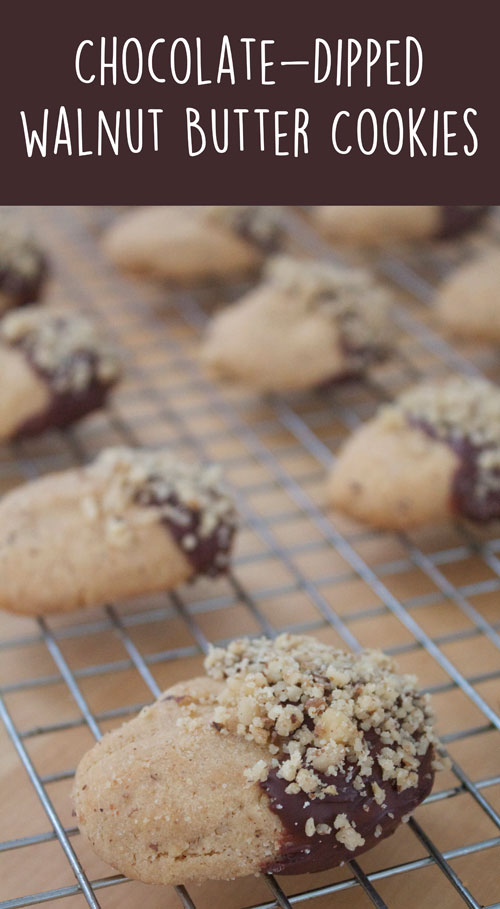 A Less Processed Life: What's Baking: Chocolate-Dipped Walnut Butter ...