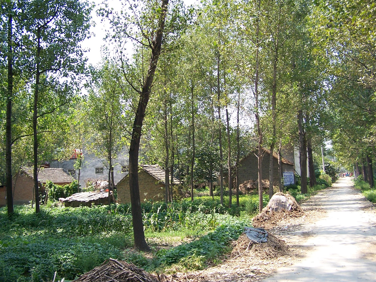 Our Lighthouse: Baoping Village, Henan, China.