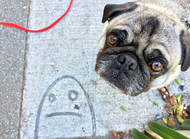 The Daily Puglet: SIGNATURE MANEUVER?