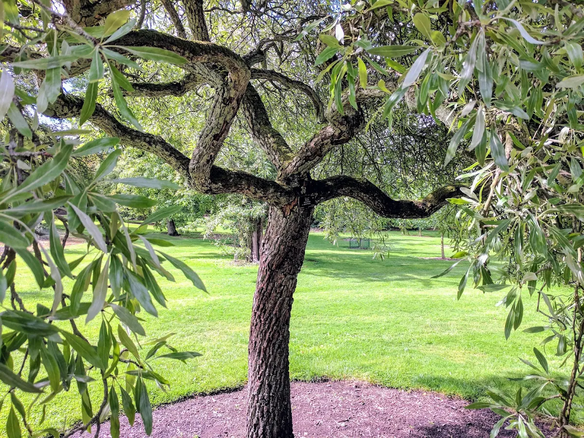 Is The Royal Botanic Garden Edinburgh Worth Seeing in the Summer ...