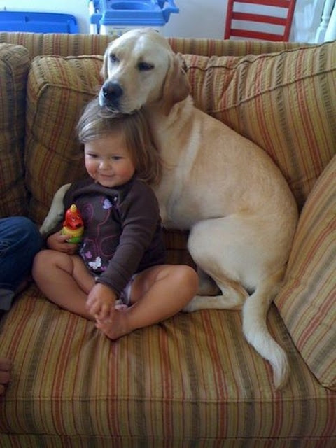 Adorable kids and their pets (25 pics) | Amazing Creatures