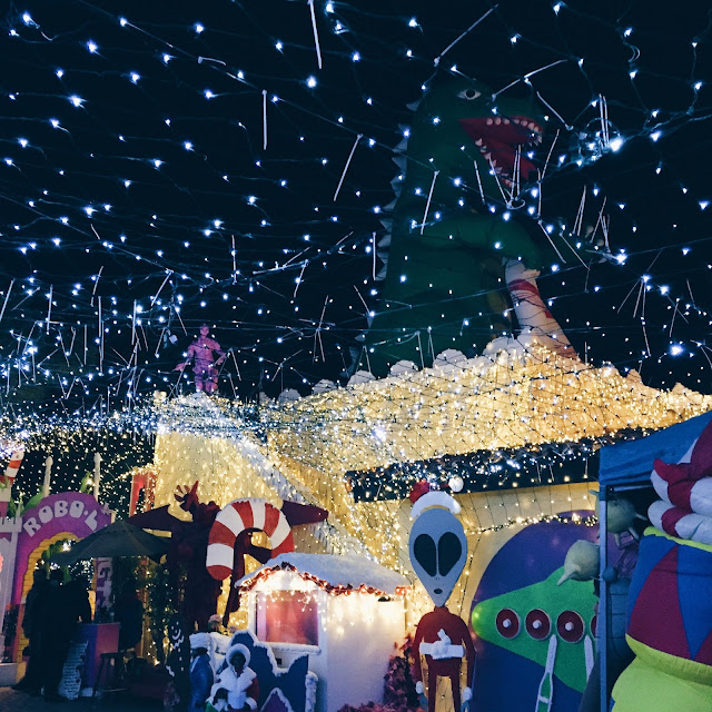 Palm Springs- Robolights | StephC