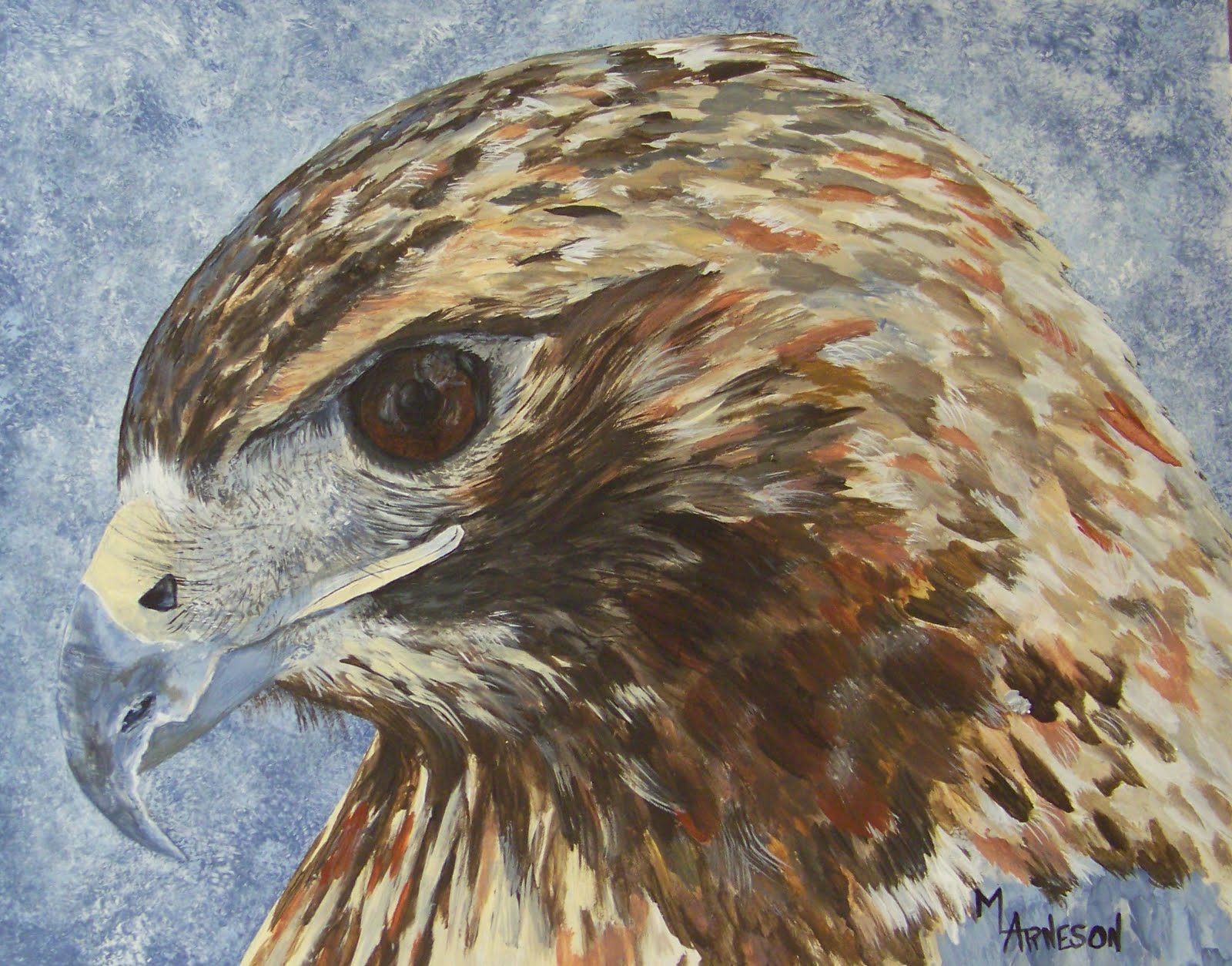 Mary Arneson Fine Art: "Hawk" Acrylic Paintings by Colorado Artist Mary ...