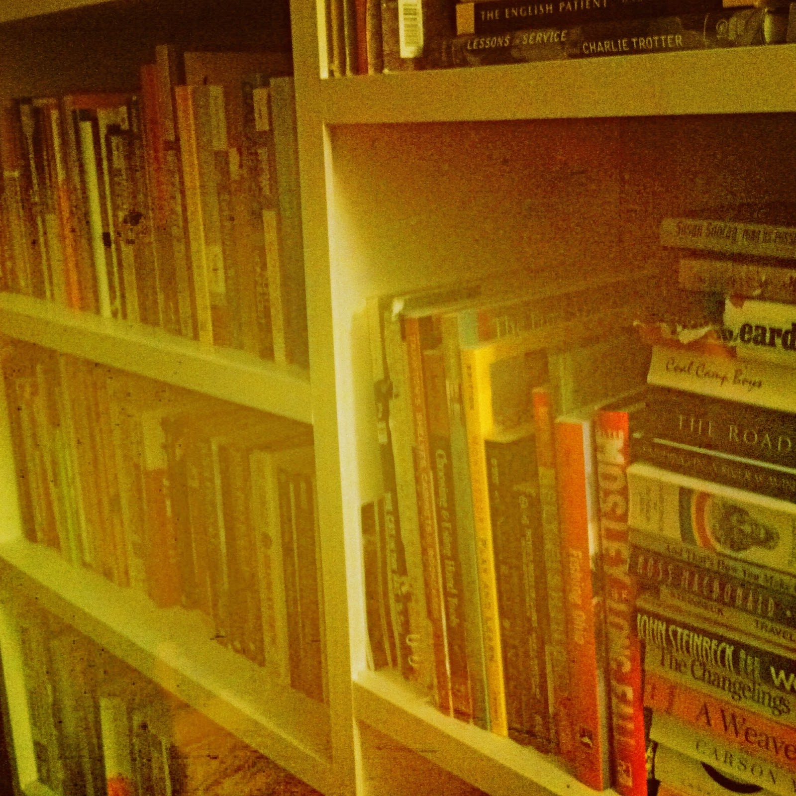 wanderations: welcome to the cemetery of forgotten books