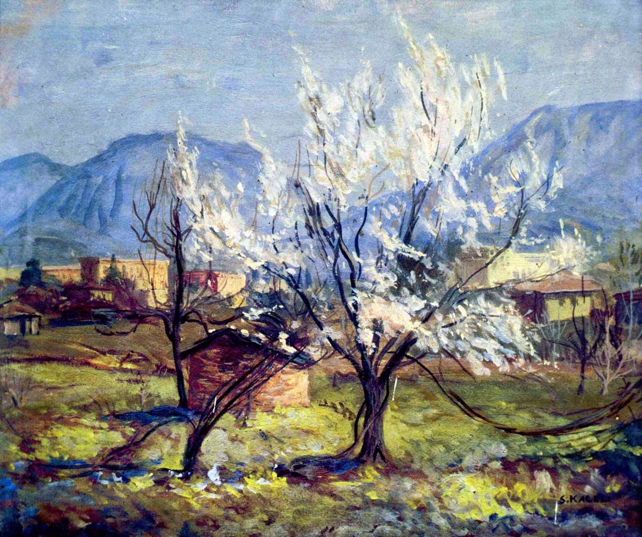 Sadik Kaceli - Alchetron, The Free Social Encyclopedia