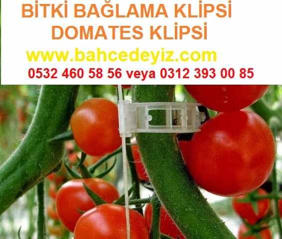www.bahcedeyiz.com: Bitki klipsi,bitki klipsleri,domates klipsi,bitki ...
