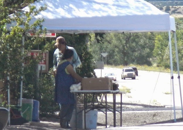 Nature Abhors a Garden: Produce Stands