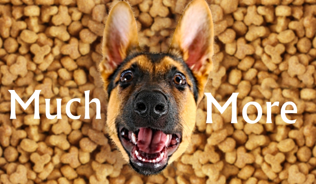 Difference between Much and More!!!