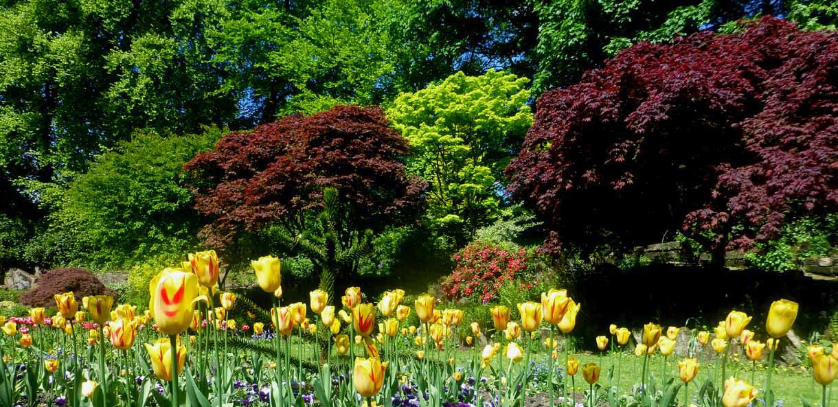 Alex and Bob`s Blue Sky Scotland: Glasgow Spring. The Parklands. Say it ...
