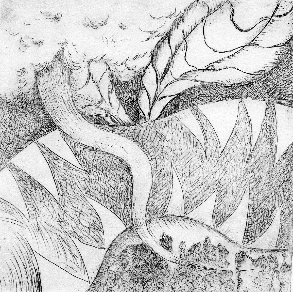 1, 2, 3 ... GRABANDO: Punta seca