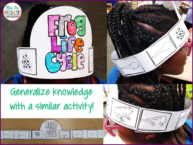 Use Hands On Activities To Teach Students About The Frog Life Cycle ...