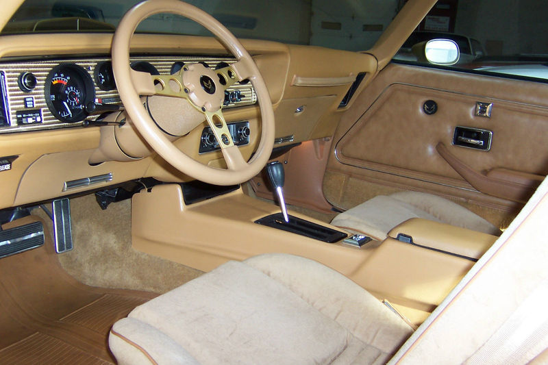 1978 Trans Am Interior Parts | Psoriasisguru.com
