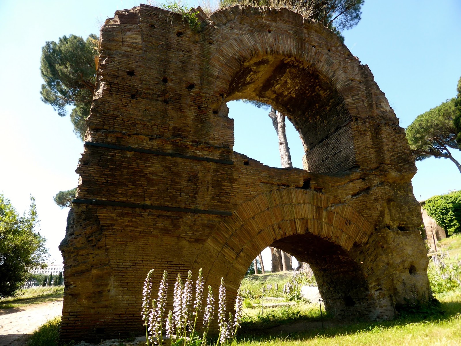 Facciamo un giro in centro?: PALATINO