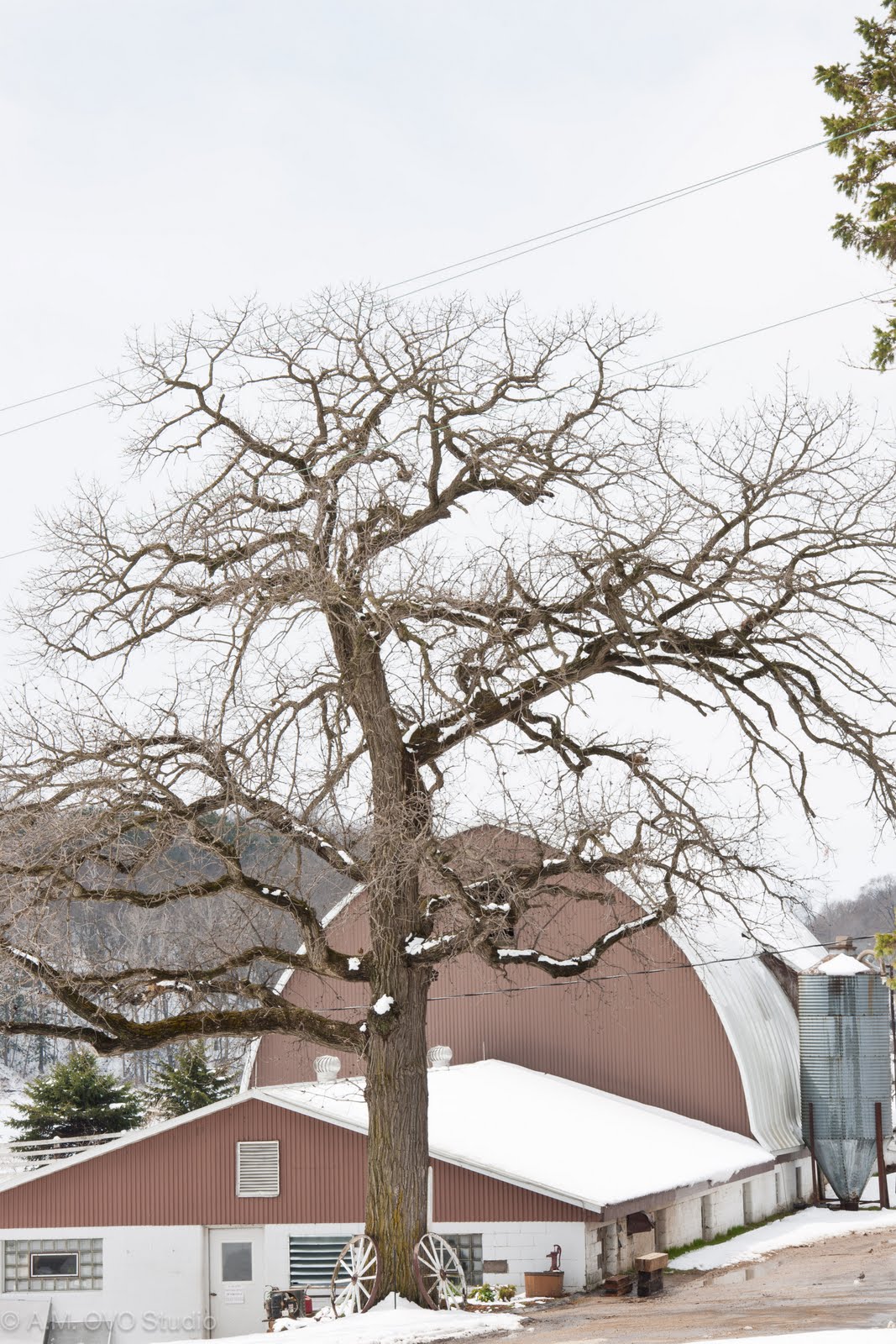 The Spotting Eye: Rural USA: Wisconsin Highway 82 (Near Viroqua, WI)
