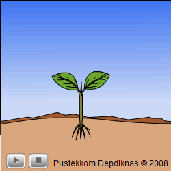 Intan Nirmala Blog's: Gerak Pada Tumbuhan