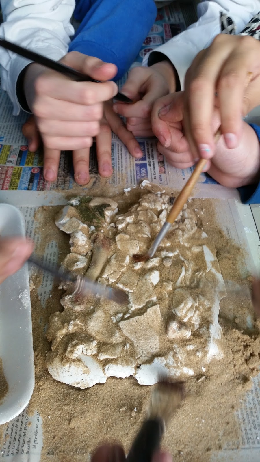 Expedición Aula Digital: El Trabajo de los paleontólogos.Fósiles parte III.