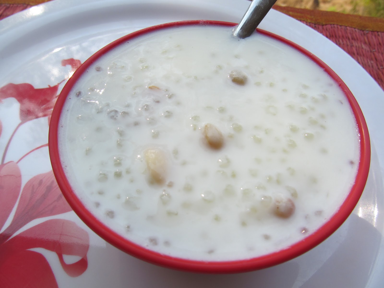 Welicious Delicious: Sabudana/Sago/Javvaris Kheer