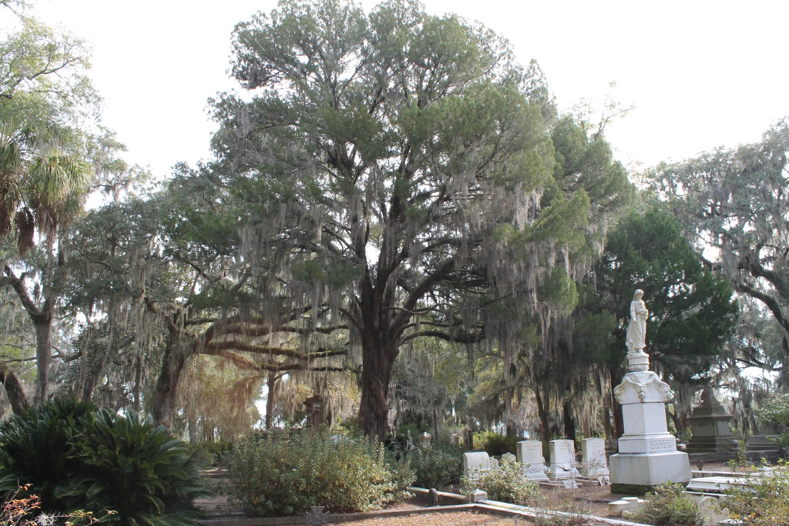 Jim and Kim's Travels: My Birthday and a Trip to Bonaventure Cemetery