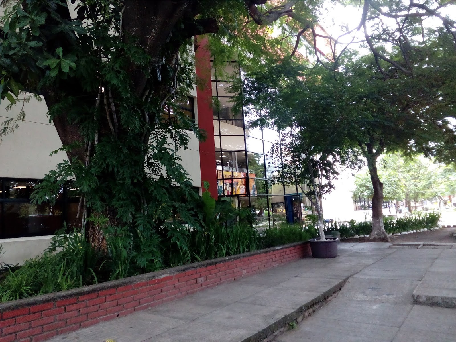 Práctica UPNFM: Imágenes