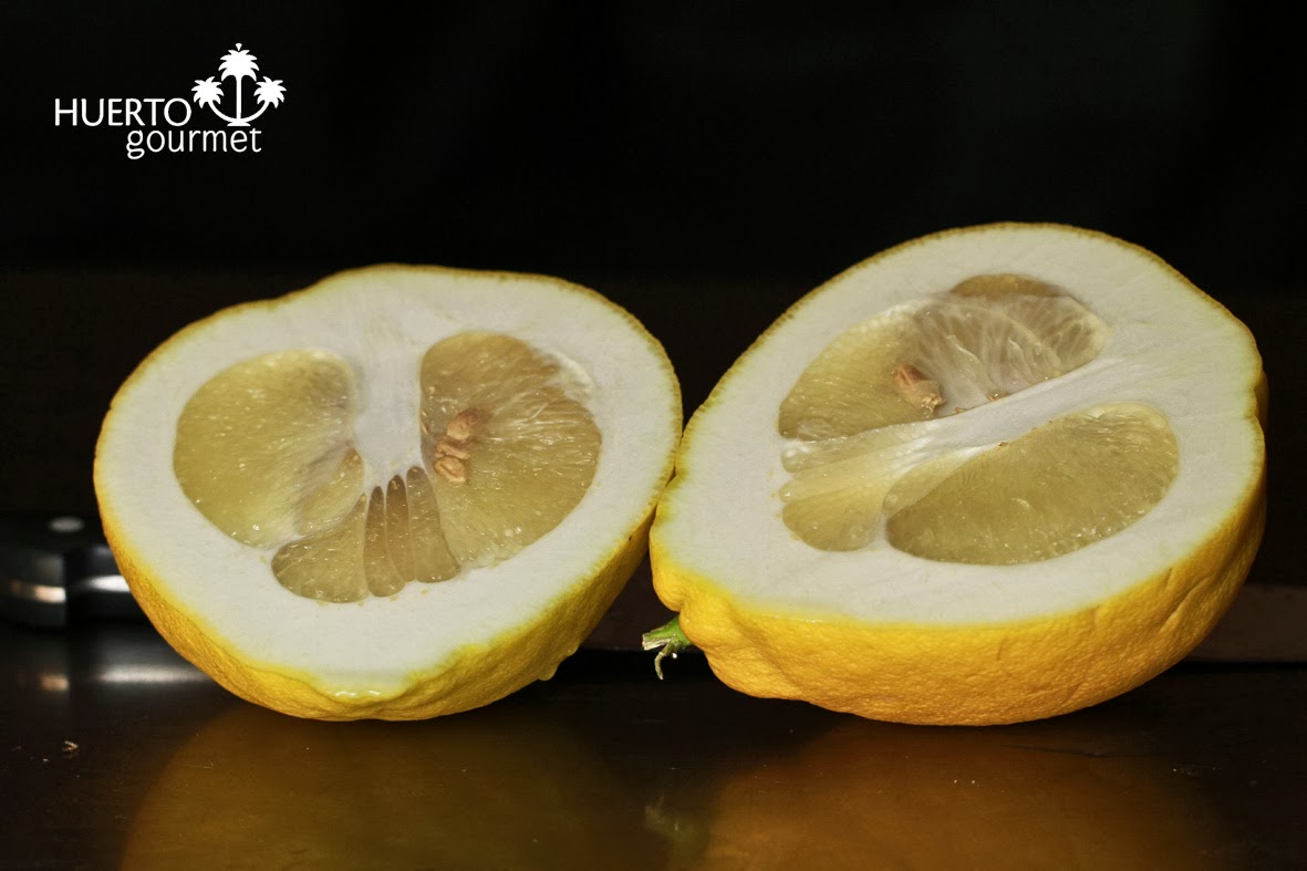 Blog Huerto Gourmet: CIDRAS, LIMEQUATS Y ¡RECETA!