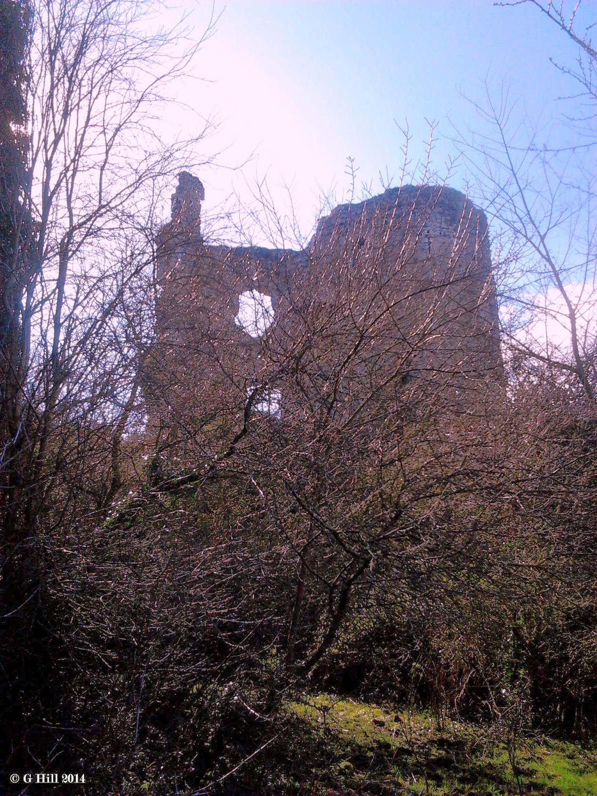 Ireland In Ruins: Lea Castle Co. Laois