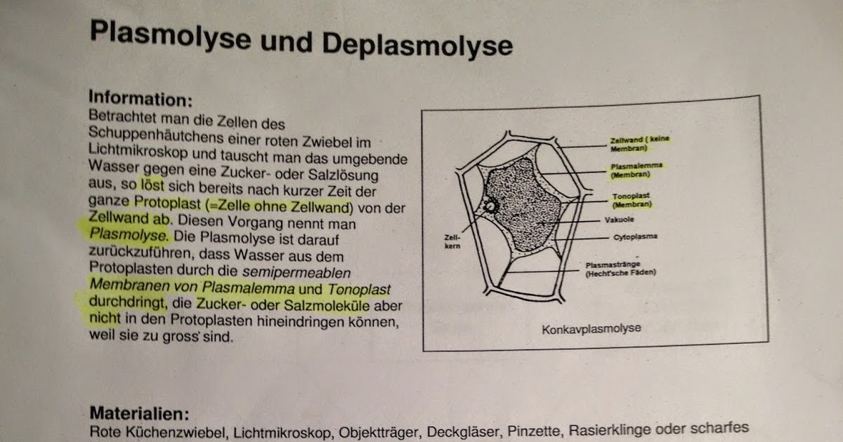 Osmose und Diffusion: Plasmolyse und Deplasmolyse