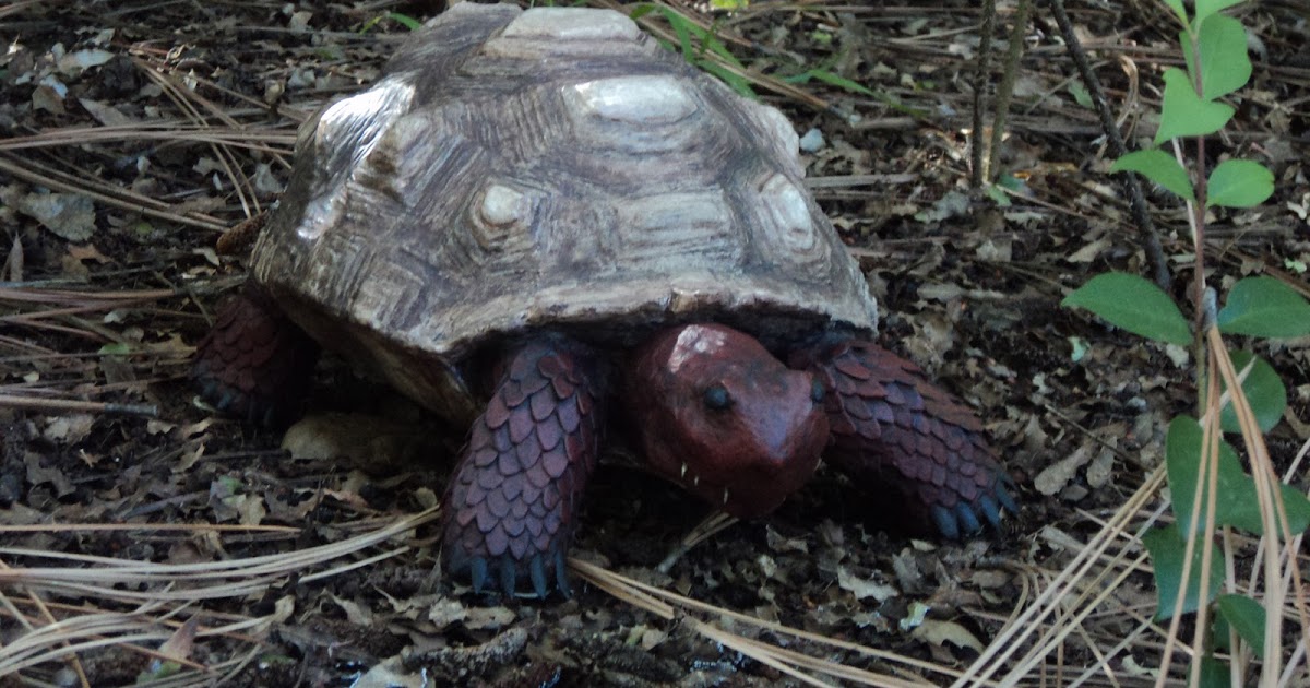 it-s-a-little-like-magic-first-paper-mache-project-dave-the-tortoise
