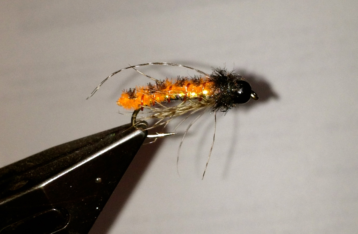The Jersey Angler: October Caddis