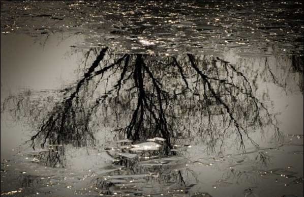 Offbeat Photography Photos Free Download - Fantastic Pictures