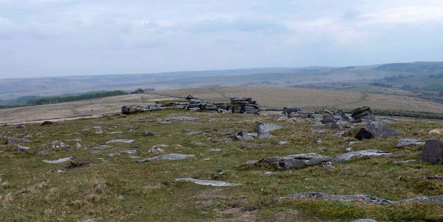 My Dartmoor Walks: Sunday 20th May Crow Tor