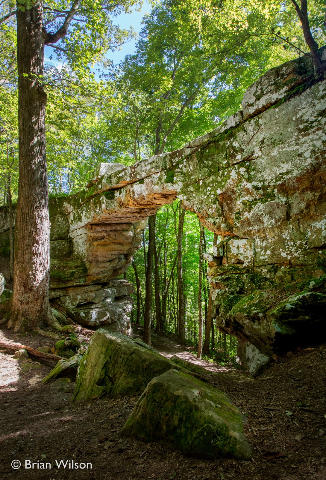 Southern Wanderings: Sewanee Natural Bridge and Grundy Lakes State Park