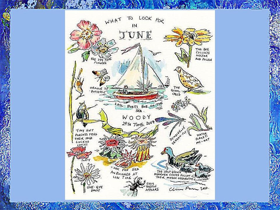 Soloillustratori: Claire Fletcher