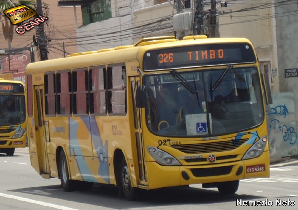 Ônibus em destaque: Via Metro 203 e 204