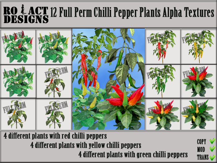 Ro!Act Designs: ..::RO!ACT::..DESIGNS 12 Full Perm Chili Pepper Plants ...