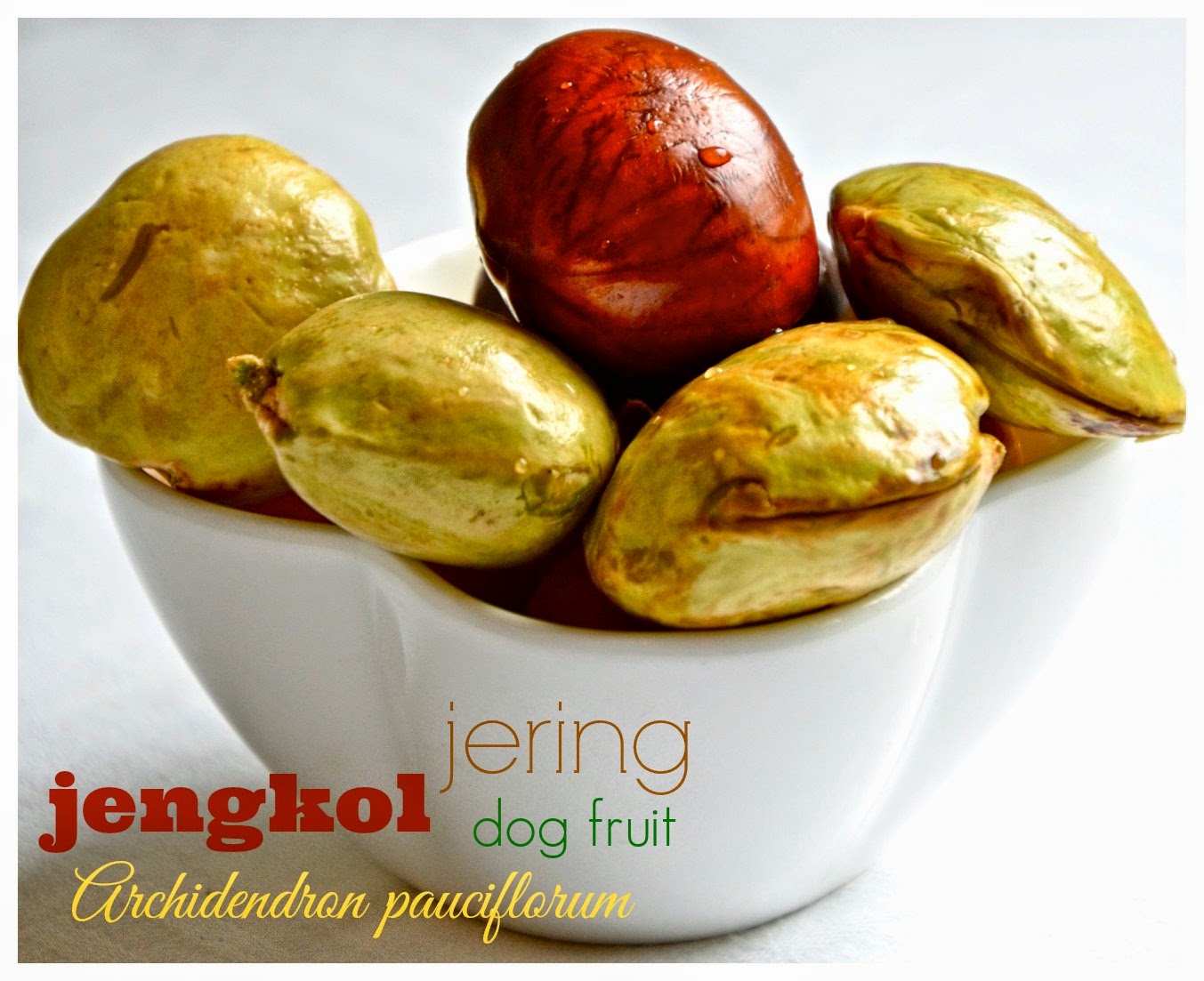 Indonesian Medan Food: Rendang Jengkol (Curried Dog Fruit)