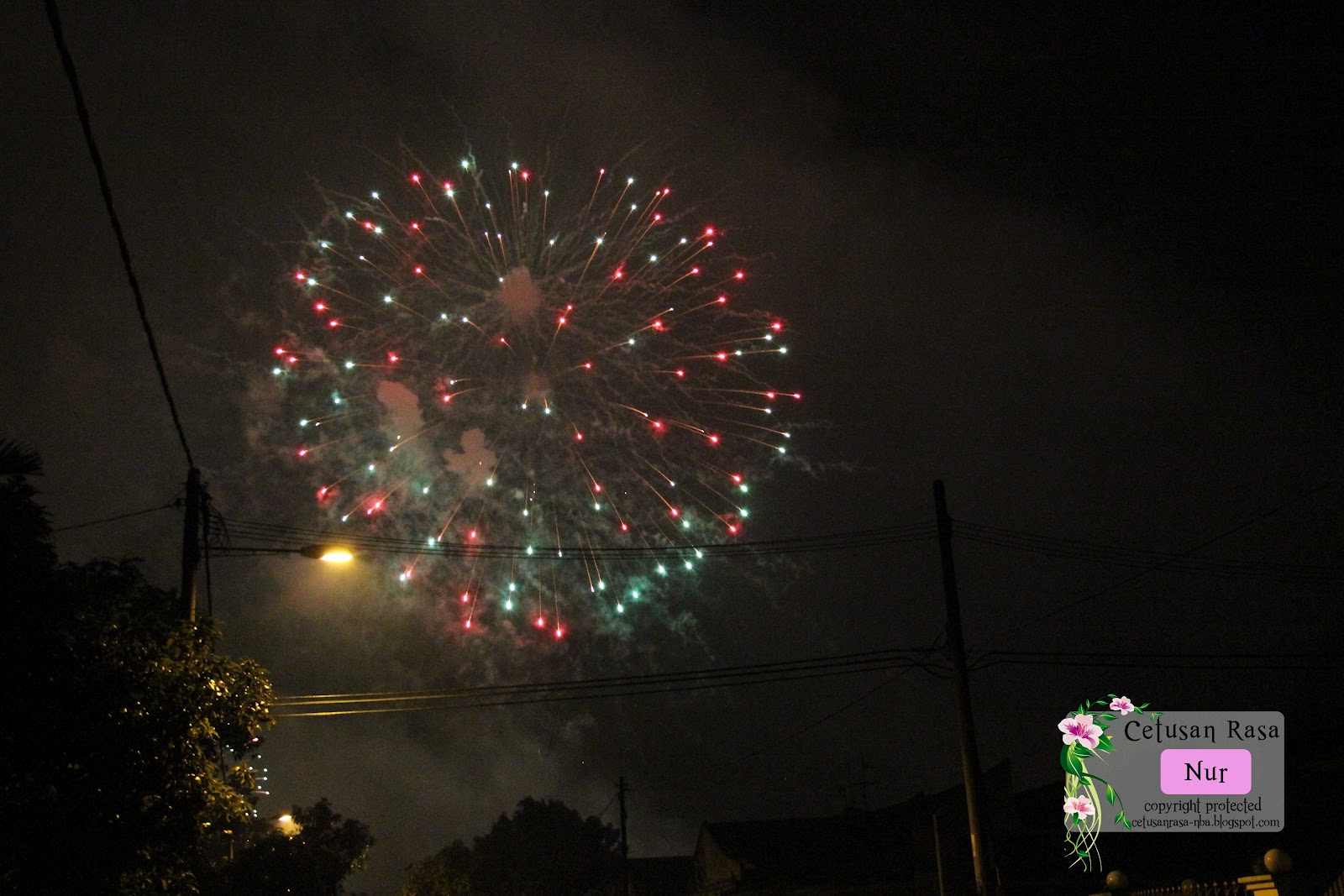 Cetusan Rasa: Percikan Bunga Api