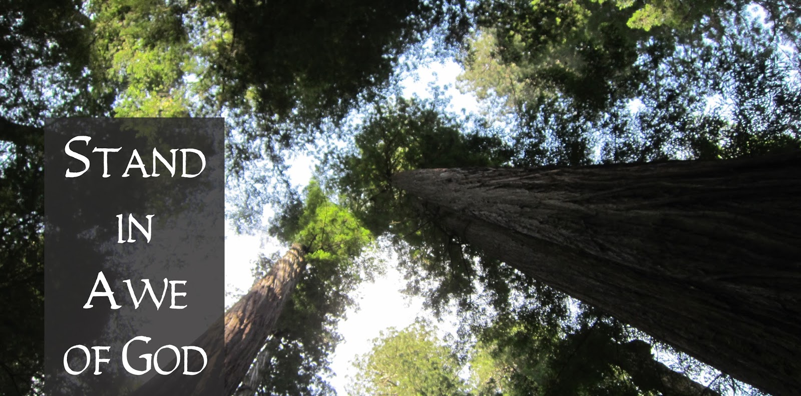 Blessed By The Lord: February 4, 2018 - STANDING IN AWE OF OUR MERCIFUL GOD