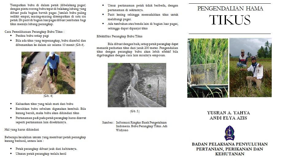 Contoh Brosur Penyuluhan Pertanian
